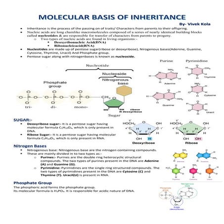 Molecular Basis of Inheritance Class 12th Biology CBSE CHSE | PDF