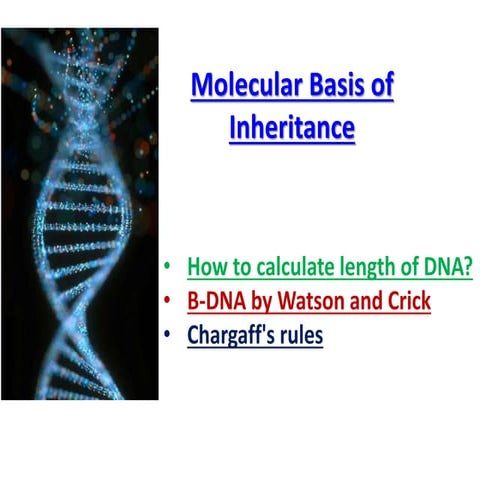 Molecular basis of inheritance ..The DNA | PPTX