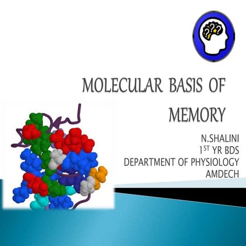 MOLECULAR BASIS OF MEMORY.pptx