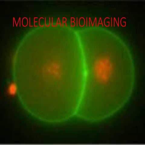 molecularbioimaging-170828111112148.pptx