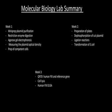 Molecular biology lab.pptx