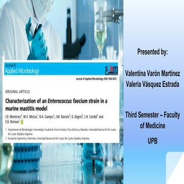 Characterization of an Enterococcus faecium strain in a murine mastitis ...