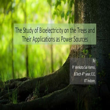 The study of bio-electricity in plants and their application as power ...