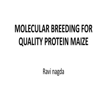 Molecular breeding for quality protein maize | PPTX
