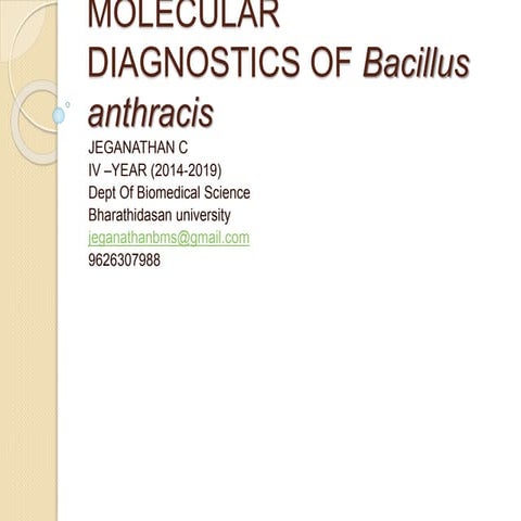 Molecular diagnostics of bacillus anthracis( immune and molecular ...