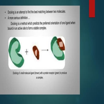 molecular docking.pdf.bioinformatics@786 | PDF