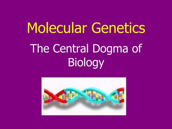 Dna G quadreplex structure discovery | PPT