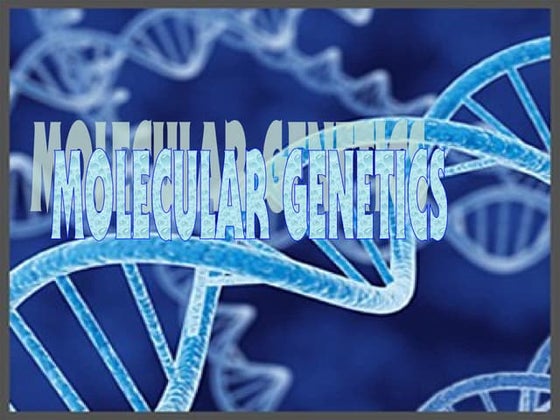 Perpetuation of Life.ppt | Reproductive Health | Diseases and Conditions