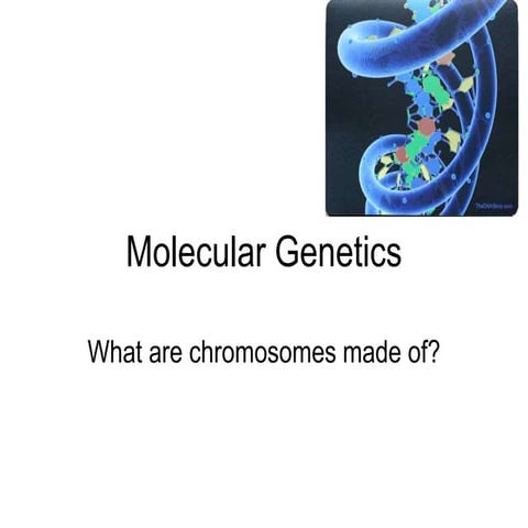 Molecular Genetics.ppt