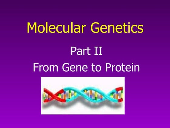 Protein synthesis | PPT