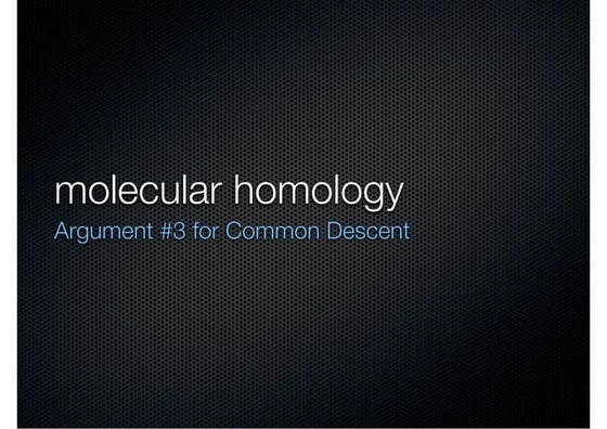 Evolution Presentation: Homology | PPT