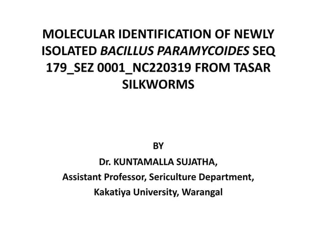 Molecular Identification Pptx