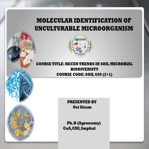 MOLECULAR IDENTIFICATION OF UNCULTURED MICROORGANISM | PPTX