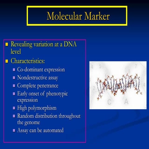 Molecular marker.ppt