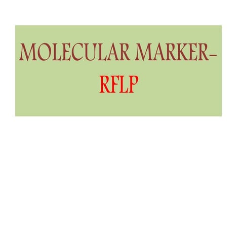 Molecular marker rflp | PPTX