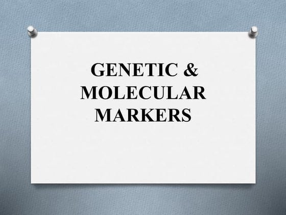 Gene identification using bioinformatic tools.pptx