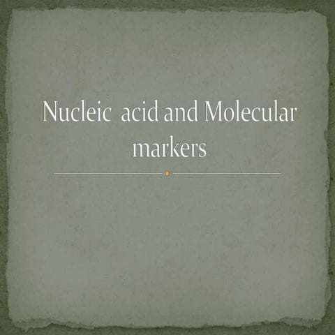Nucleic acid and Molecular markers | PPT
