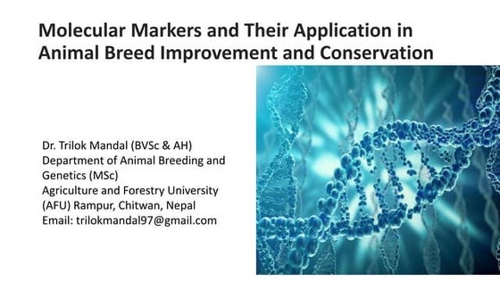LAYOUT DESIGN OF SLAUGHTER HOUSE.pptx | Indoor Environmental Quality ...