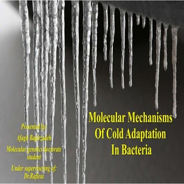Molecular mechanisms of cold adaptation in bacteria | PPTX