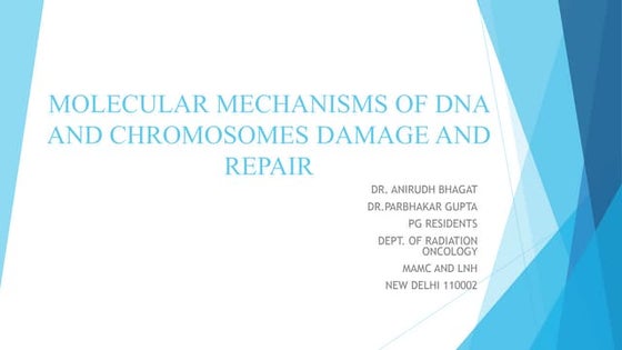 DNA damage response.pptx