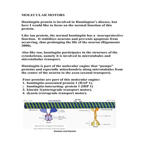 Molecular motors | PDF