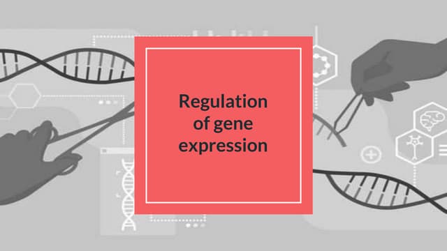 Regulation of gene expression. | PDF