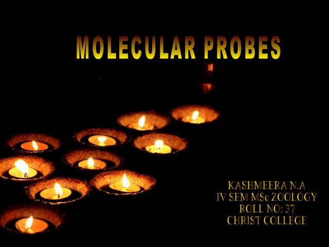 Probe labelling and hybridization | PPTX