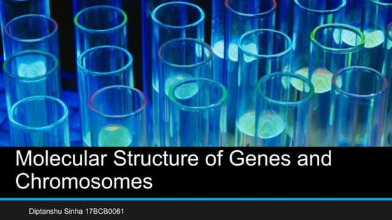 repetitive and non repetitive dna.pptx