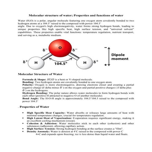 Molecular structure of water ne oxygen atom covalently bonded to two ...