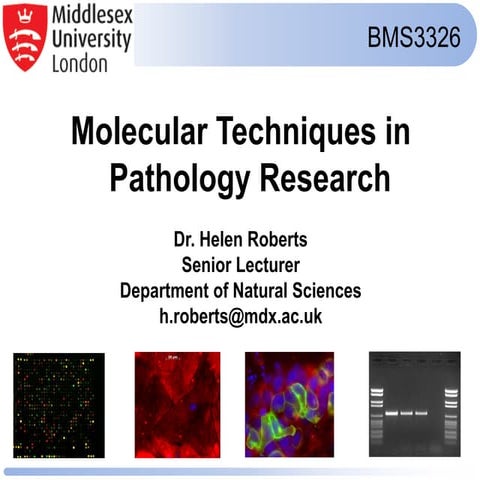 Molecular techniques for pathology research - MDX .pdf