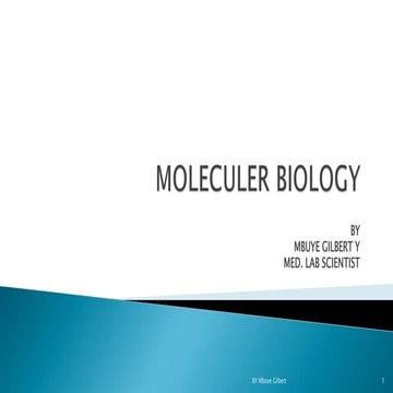 MOLECULAR BIOLOGY introduction for lab.pptx