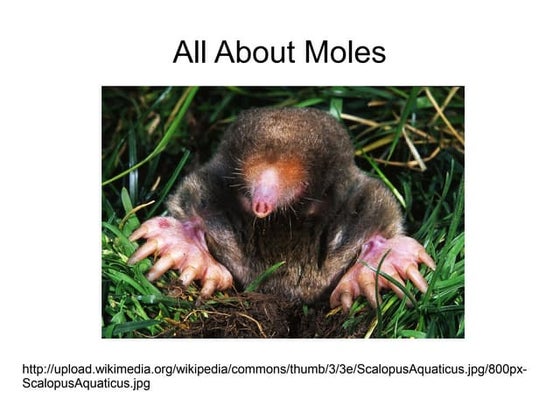 Exercises number of moles | PDF