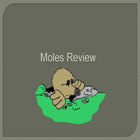 INK - אפיון אתר שיווקי | PDF