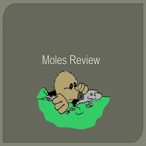 Moles review | PPT
