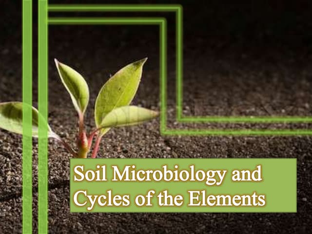 THE ROLE OF MICRO-ORGANISMS IN CARBON CYCLE | PPTX