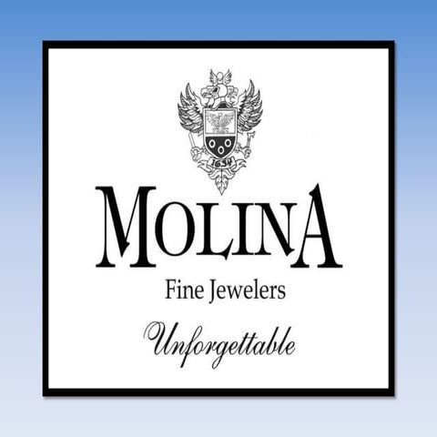 Molina Fine Jewelers | PPTX