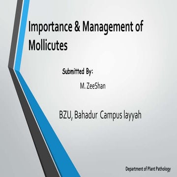 Mollicutes | PPT