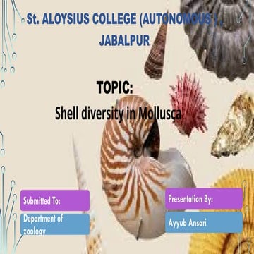 Comprehensive Study on Shell Diversity and Structure in Mollusca | PPTX