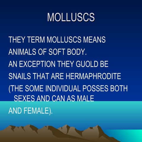 Molluscs | PPTX