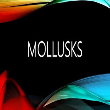 Mollusks | PPTX