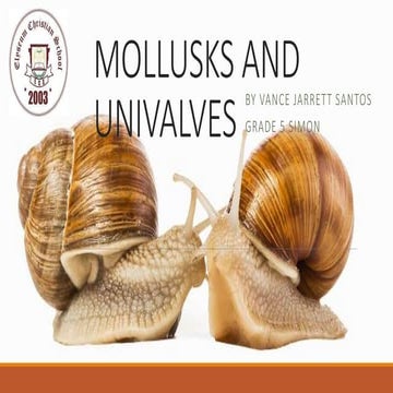 MOLLUSKS AND UNIVALVES.pptx