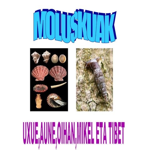 Moluskoak | PPT