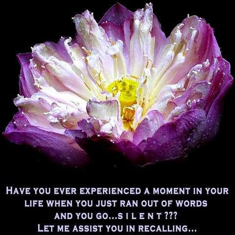 Moment of Silence | PPS