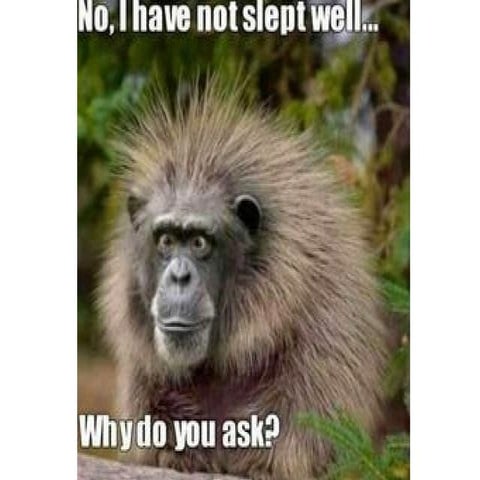 new words.pptx vocabulary esl grade 3 english | PPTX