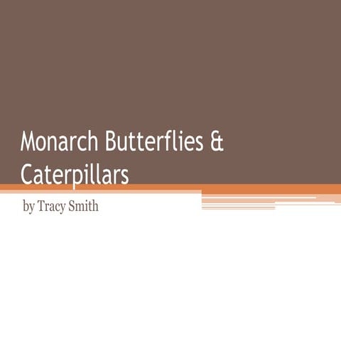 Monarch butterflies & caterpillars album | PPTX
