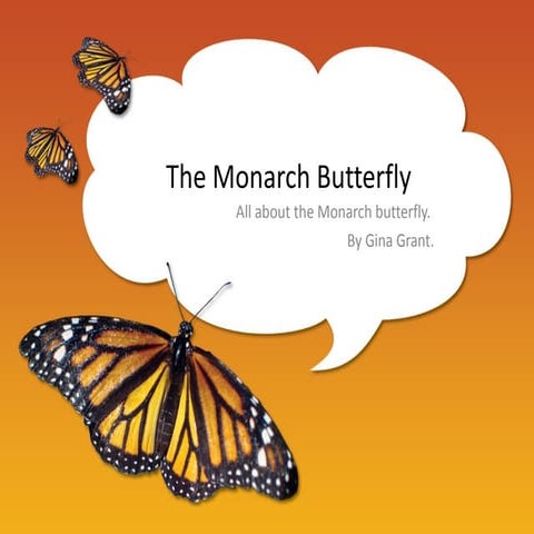 Monarch Butterflies | PPT