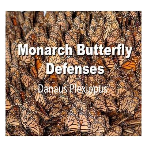 Monarch Defenses | PPTX
