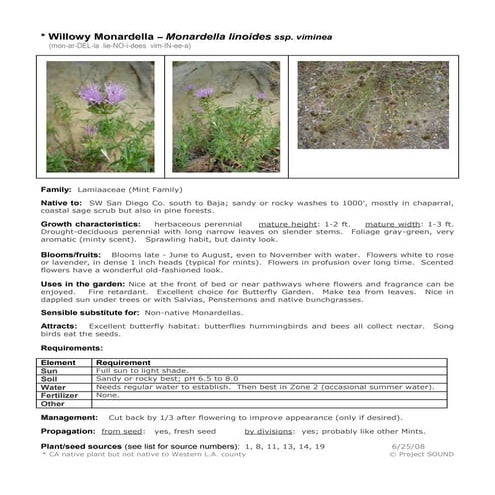 Monardella linoides | PDF