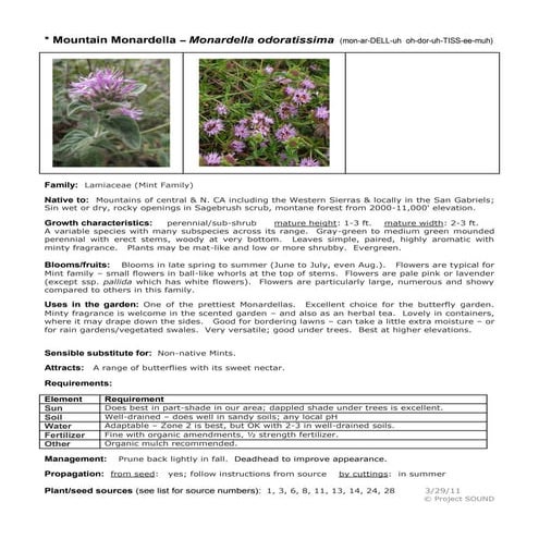 Monardella linoides | PDF