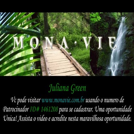 Plano de Marketing MonaVie | PPT